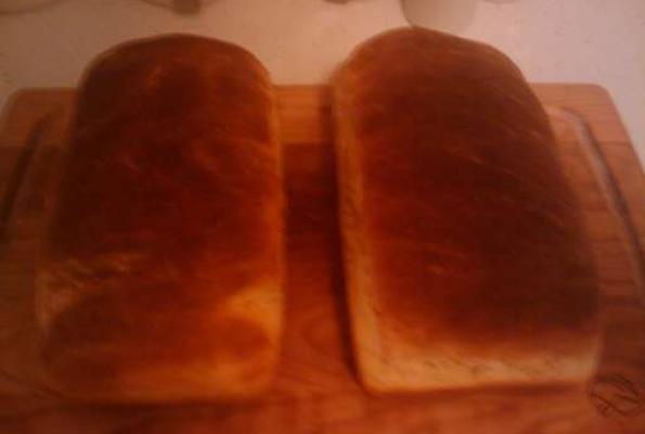 Outrageously Easy BIG Bread | VegWeb.com, The World's Largest ...