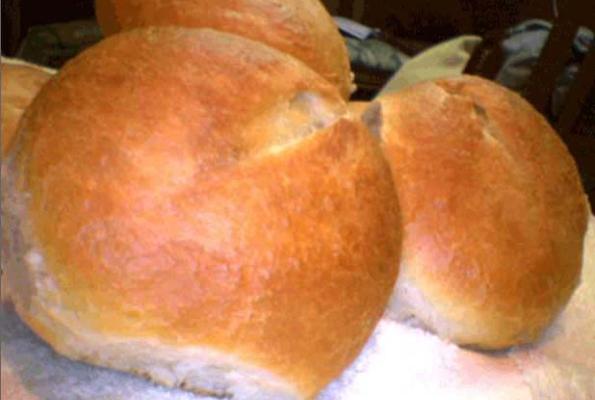 Outrageously Easy BIG Bread | VegWeb.com, The World's Largest ...