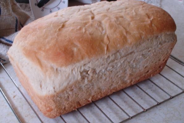 Outrageously Easy BIG Bread | VegWeb.com, The World's Largest ...