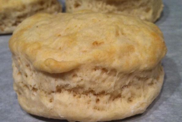 Healthy Fast Food Biscuits | VegWeb.com, The World's Largest Collection ...